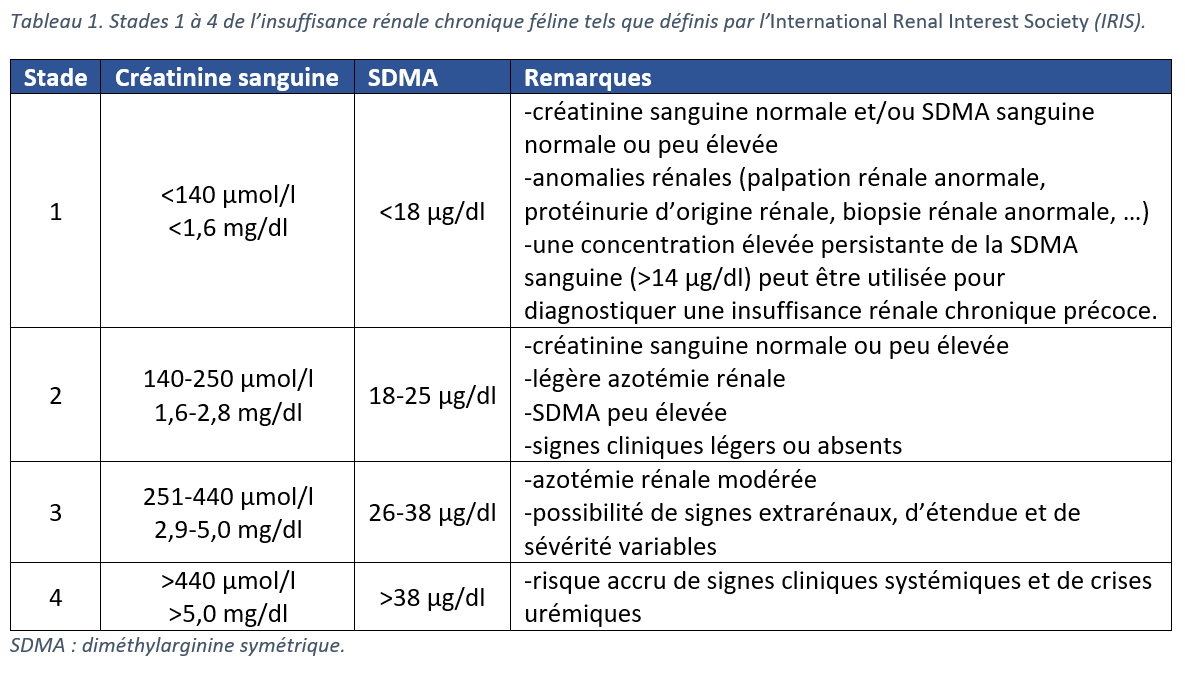 Chez le chat atteint d’insuffisance rénale chronique, le telmisartan ...