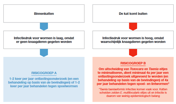 Herziene ESCCAP-richtlijn - Wormbestrijding bij hond en kat | VetCompendium